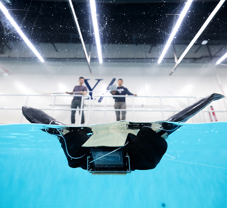 In ‘Tech Tank,’ a New Home for Testing Amphibious Robots, Other ...